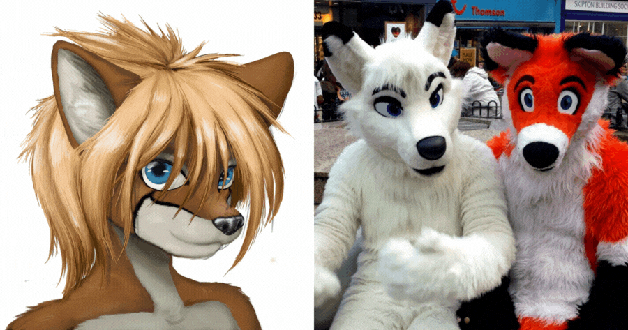Am I A Furry? - DiggFun | All Games Quizzes, Trivia, Photos and Articles