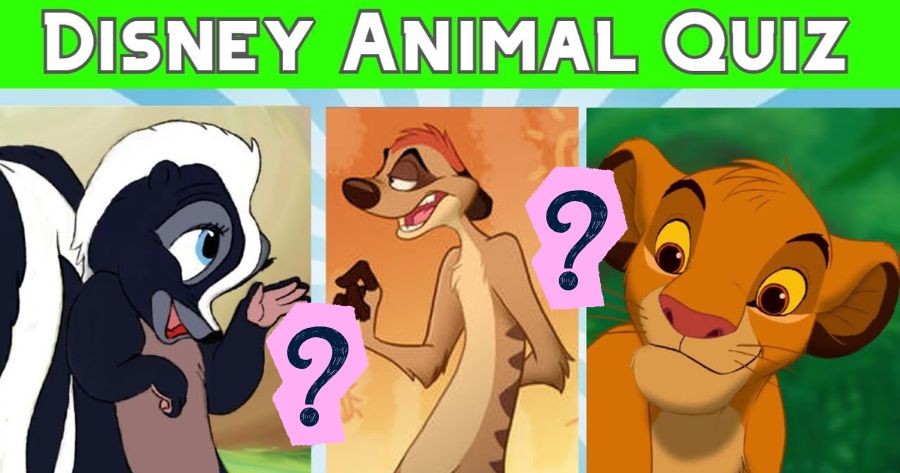 How Rare Is Your Name? - DiggFun | All Games Quizzes, Trivia, Photos ...