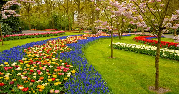 Don't Be Surprised If We Guess Your Eye Color Based On The Garden You ...
