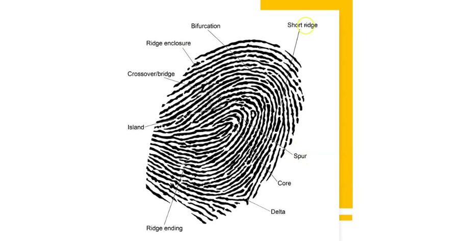 Otkrijte svoj magični element samo gledajući vaše otiske prstiju ...