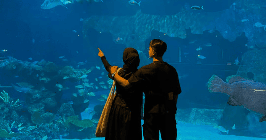 Kterého muže z "TSITP" skončíte? - BuzzFun - Nejen kvízy