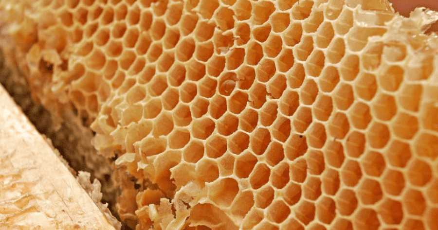 Trypophobia Test: Are You Truly Afraid Of Holes? - BuzzFun - Not Just ...