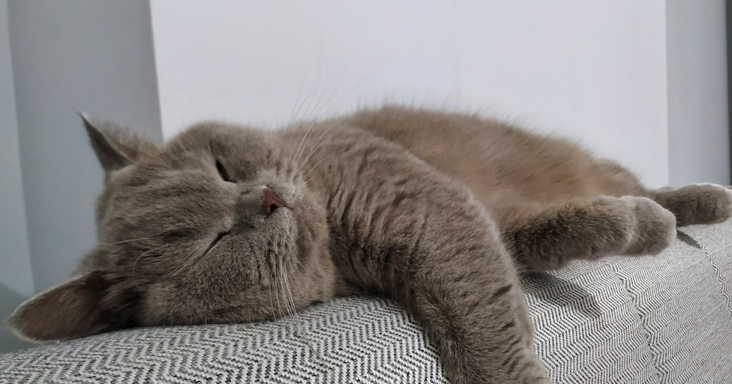 What Should You Do Tonight? - Testname.me - Free Photo Effects ...